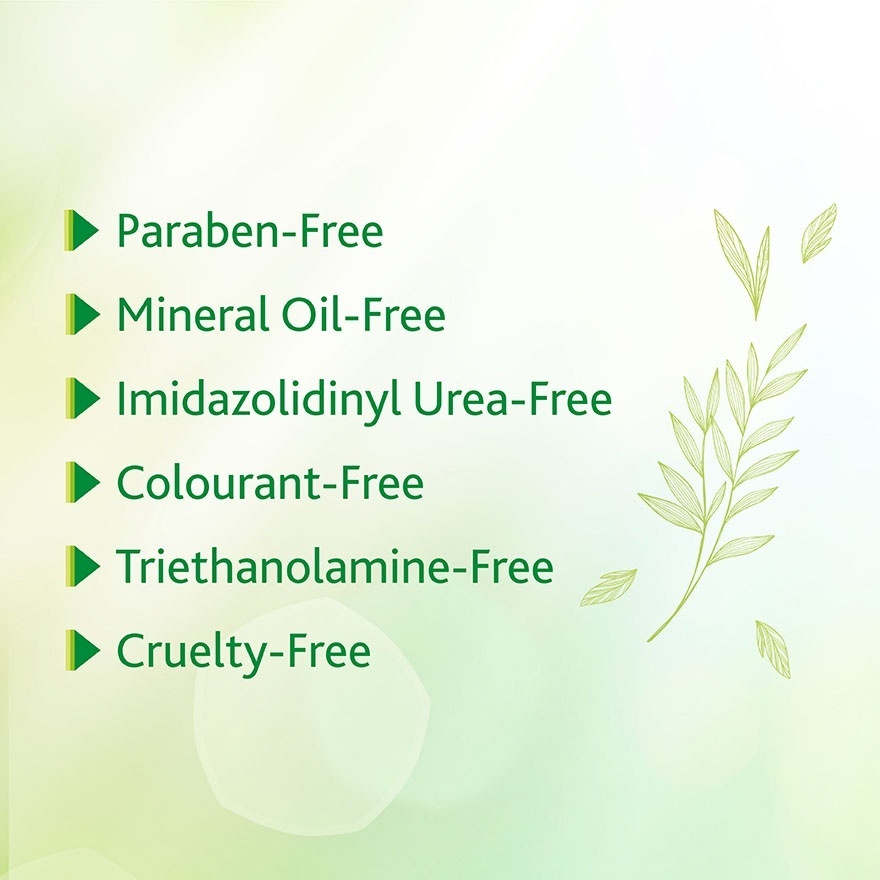 Aiken Tea Tree Oil Refining Pore Toner [100ml / 150ml] | Kills Acne ...