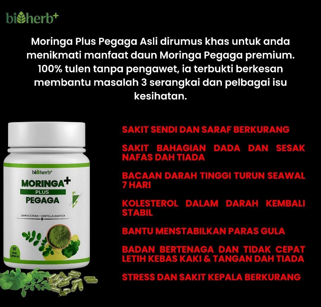 [Ready Stock] Moringa Pegaga Plus Original Capsules Daun Kelor Asli 100 ...