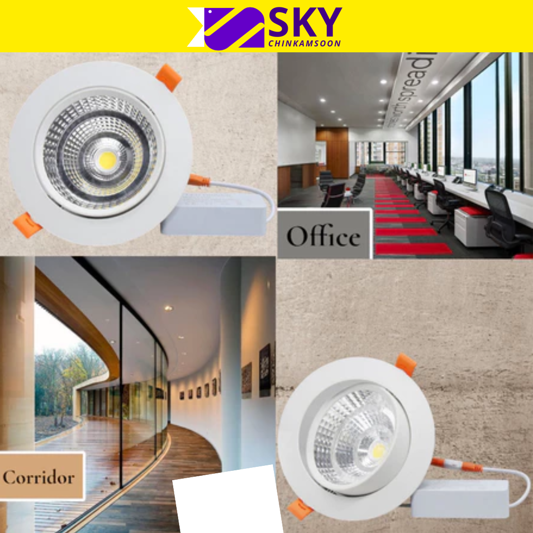 LED COB Eyeball 5W 7W 10W 12W 20W Bridgelux Round Recess Downlight ...