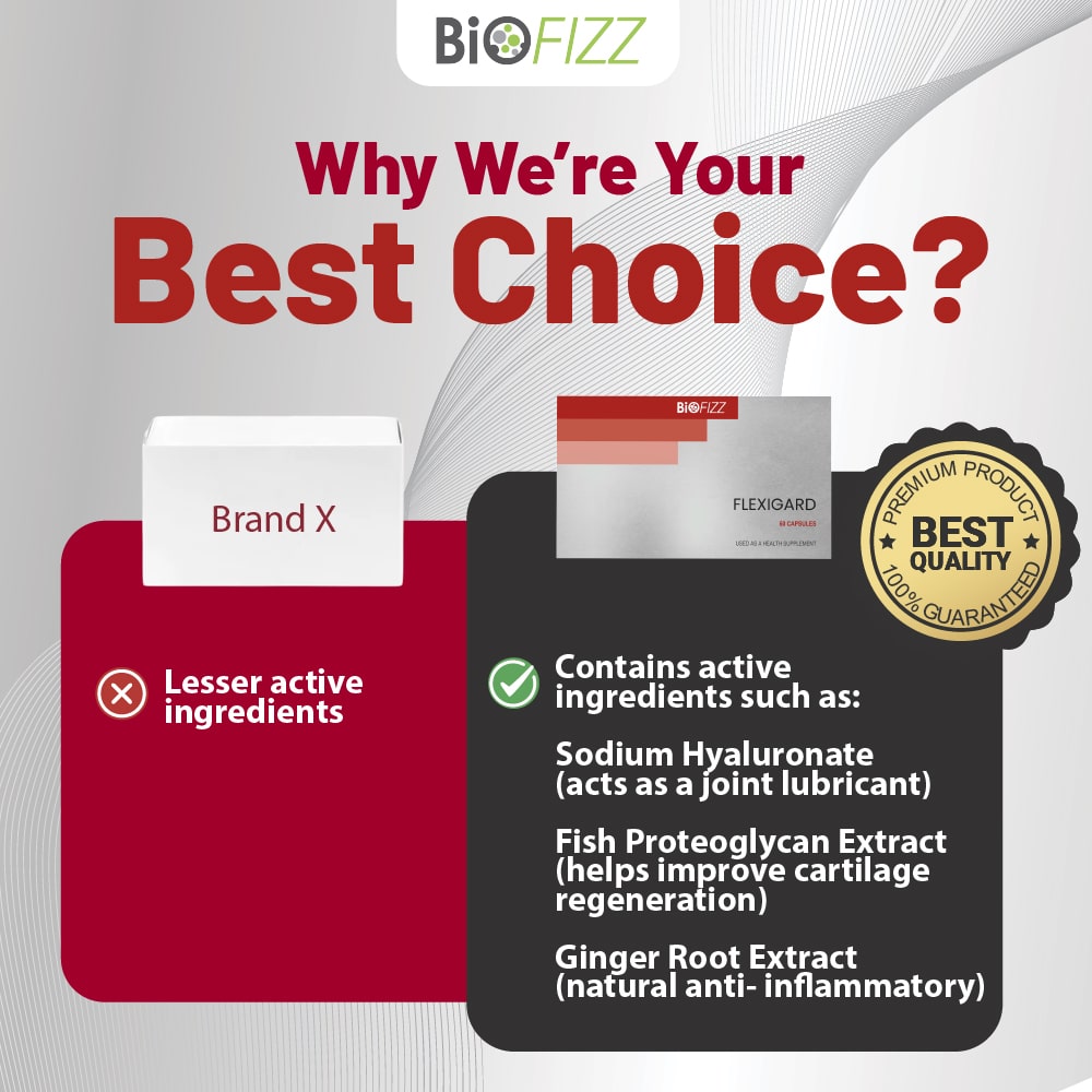 BIOFIZZ Flexigard Capsule 60's Reduce joint pain and inflammation Joint ...