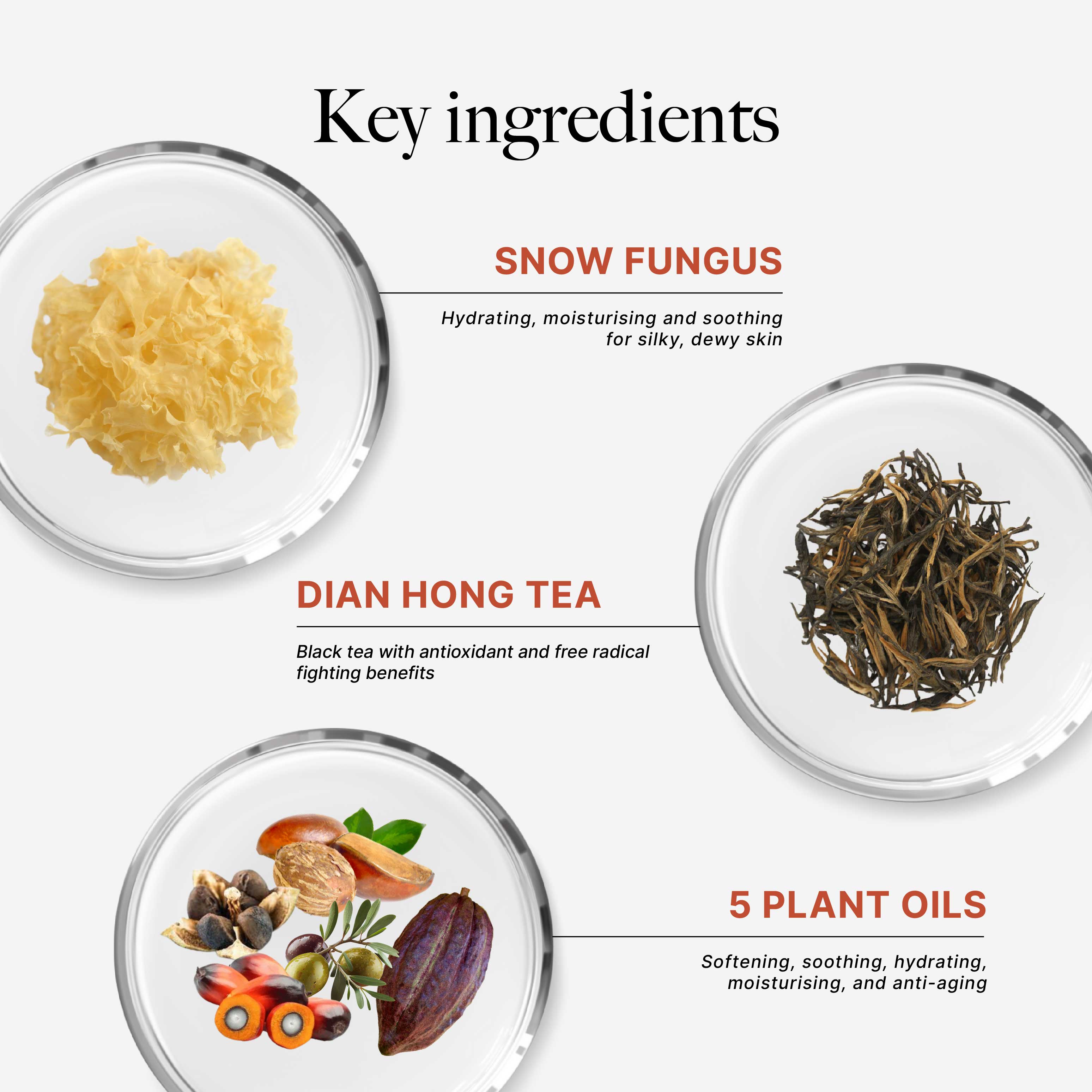 [PINN YANG EXCLUSIVE] CLEF Tea Core Nourishing Body Lotion 200ml ...