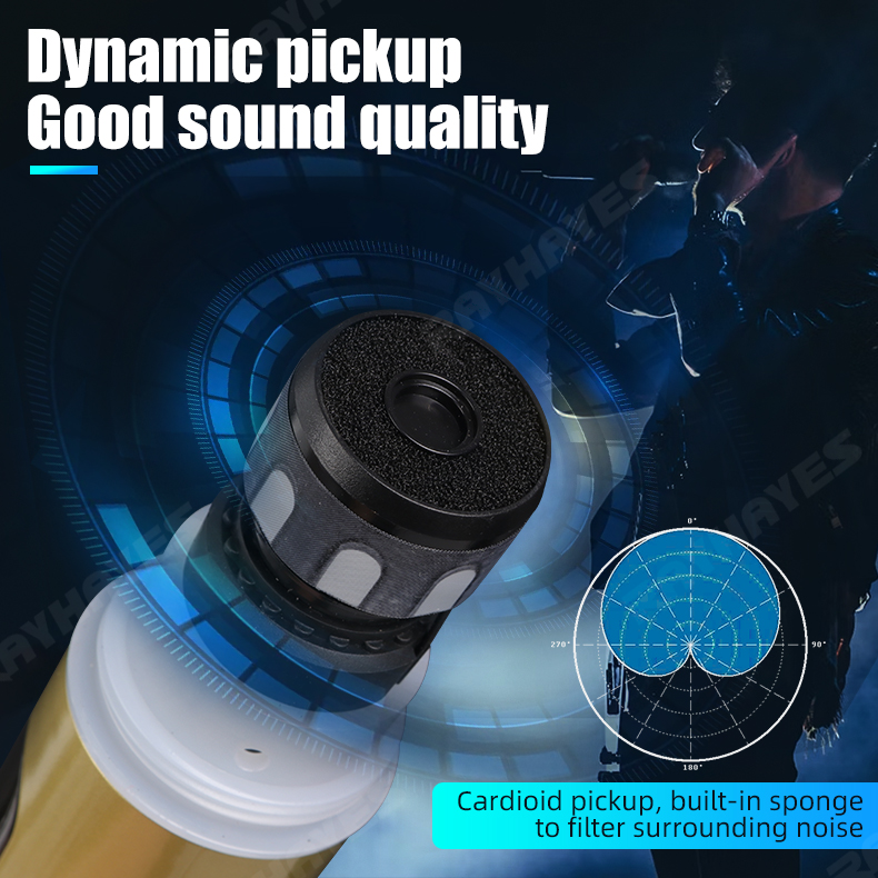 RAYHAYES Microphone Wireless System UHF Rechargeable Microphone LED ...