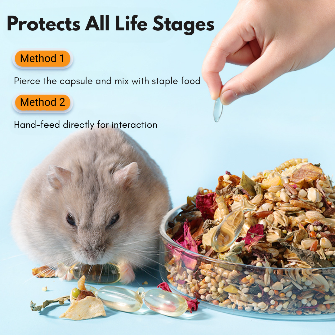 Yee Hamster fish oil Hamster goat milk healthy probiotic collagen ...