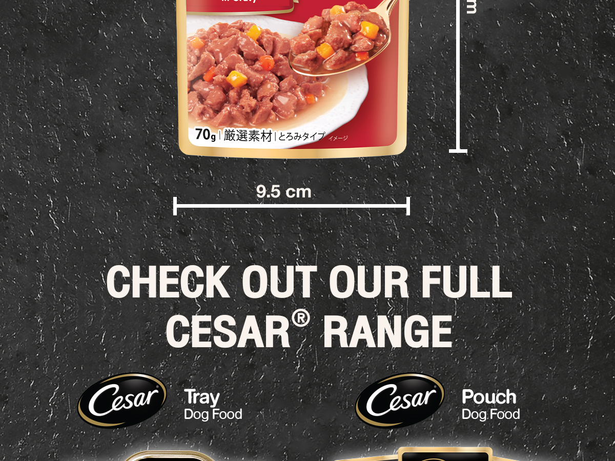 Cesar Crafted Premium Wet Cat Food For Adult Cat - Choose Flavor 60g (3 ...