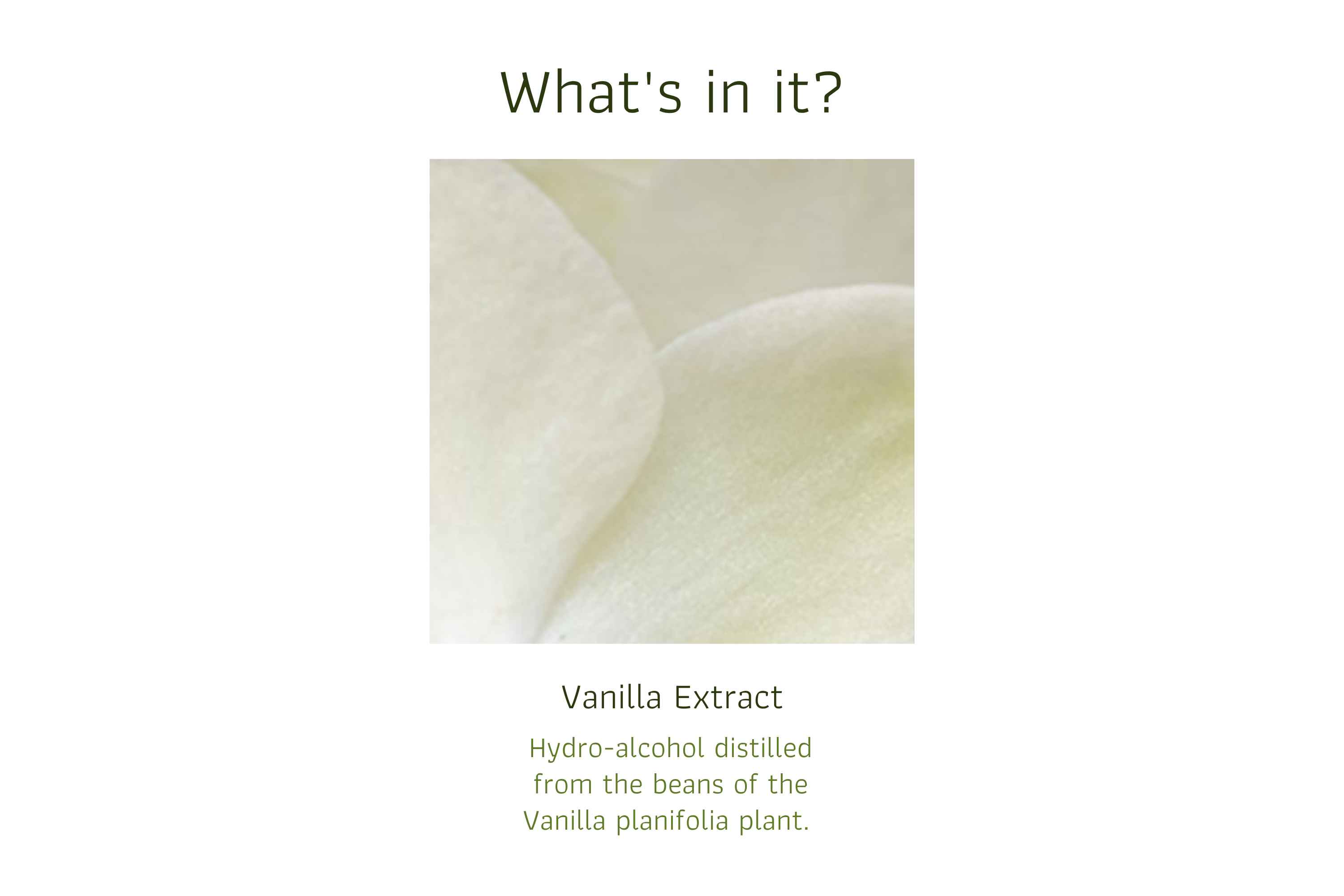 PLANT THERAPY Vanilla Botanical Extract (10ml/30ml) | Shopee Malaysia