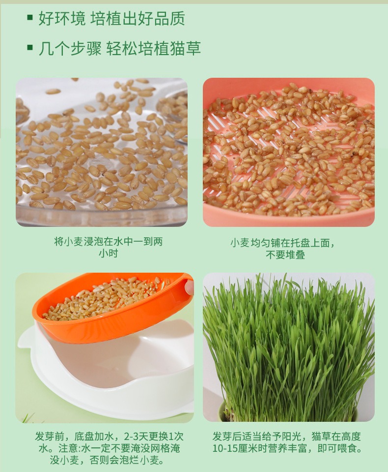 Wenbo Kotak Rumput Lazy No-Soil Cat Grass Box Small Fish Hydroponic ...