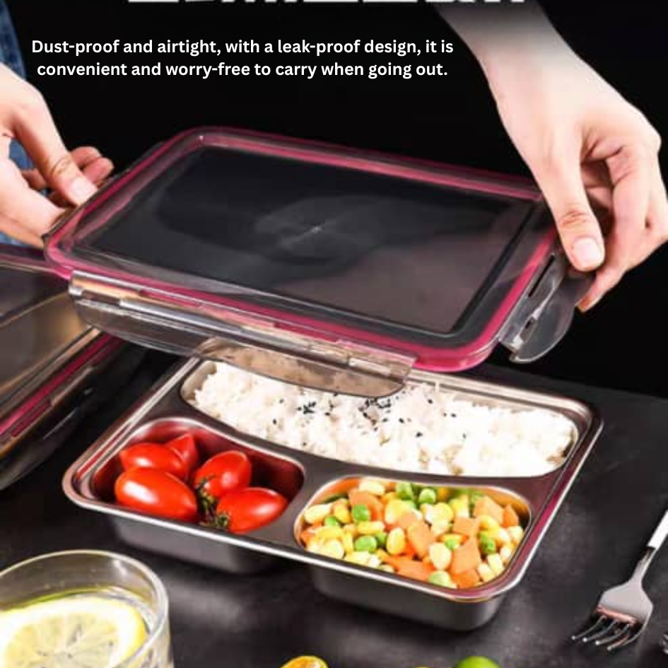 304 Stainless Steel Lunch Box, Multi-compartment Divided Bento Box/Snap ...