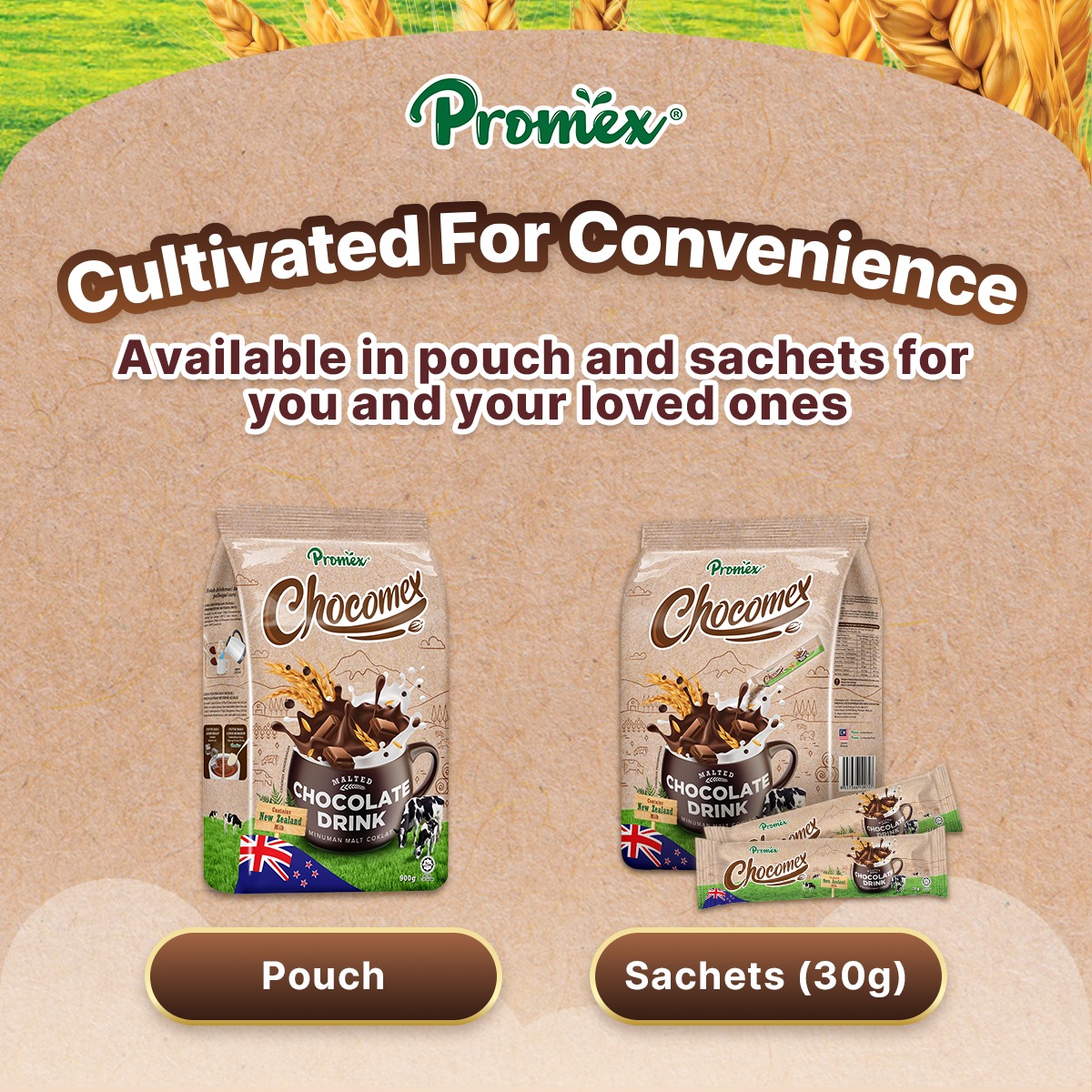 Promex Chocomex Malted Chocolate Drink 30g x 15 Sachets [New Packaging ...