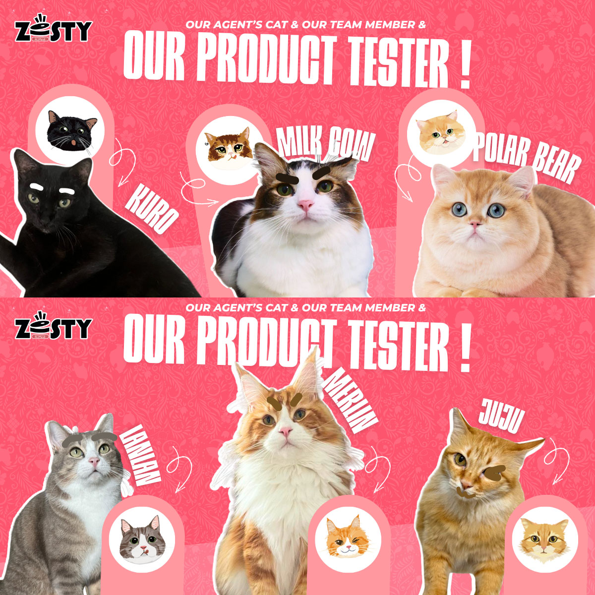 Numew Zesty Oven Bake Bio premium cat food 50g | Shopee Malaysia