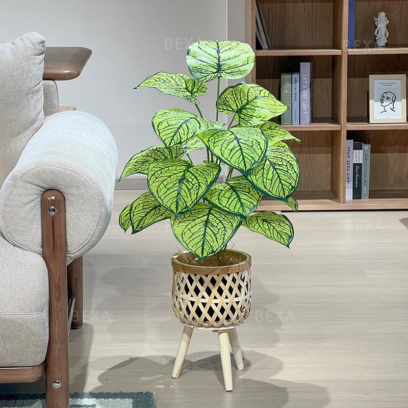 95cm-120cm Pokok Hiasan Dalam Rumah（PASU BUNGA ROTAN FREE）Pisang Belang ...