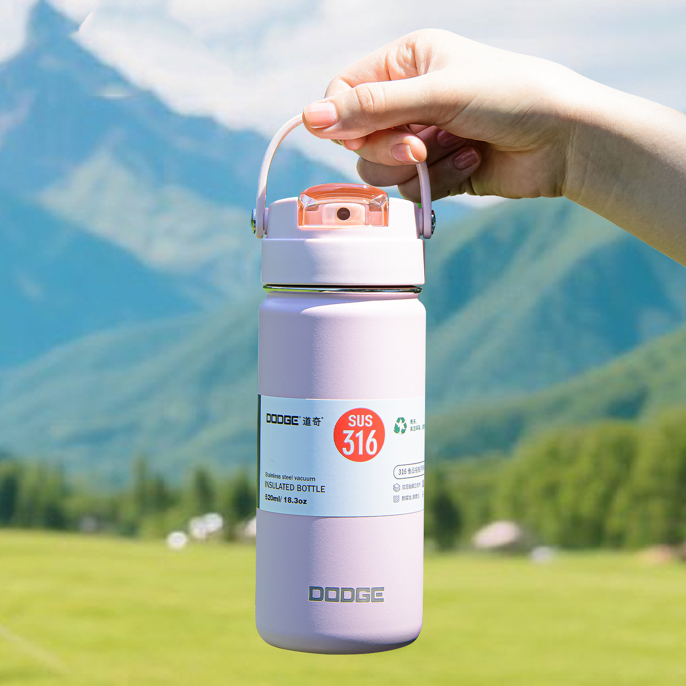 DODGE Travel Style Stainless Steel Vacuum Flask Thermos Water Bottle ...