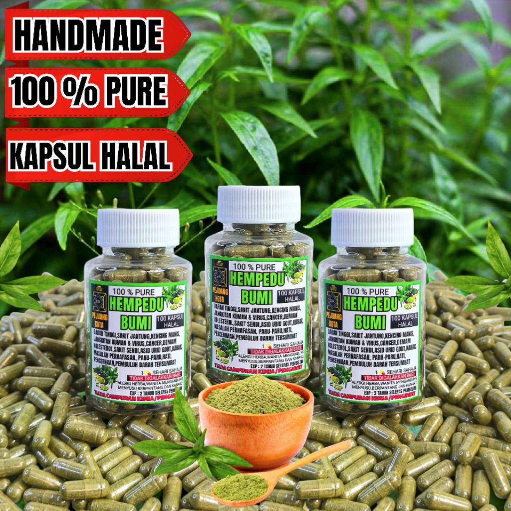 Kapsul hempedu bumi original 100 biji Handmade,king of bitter ...