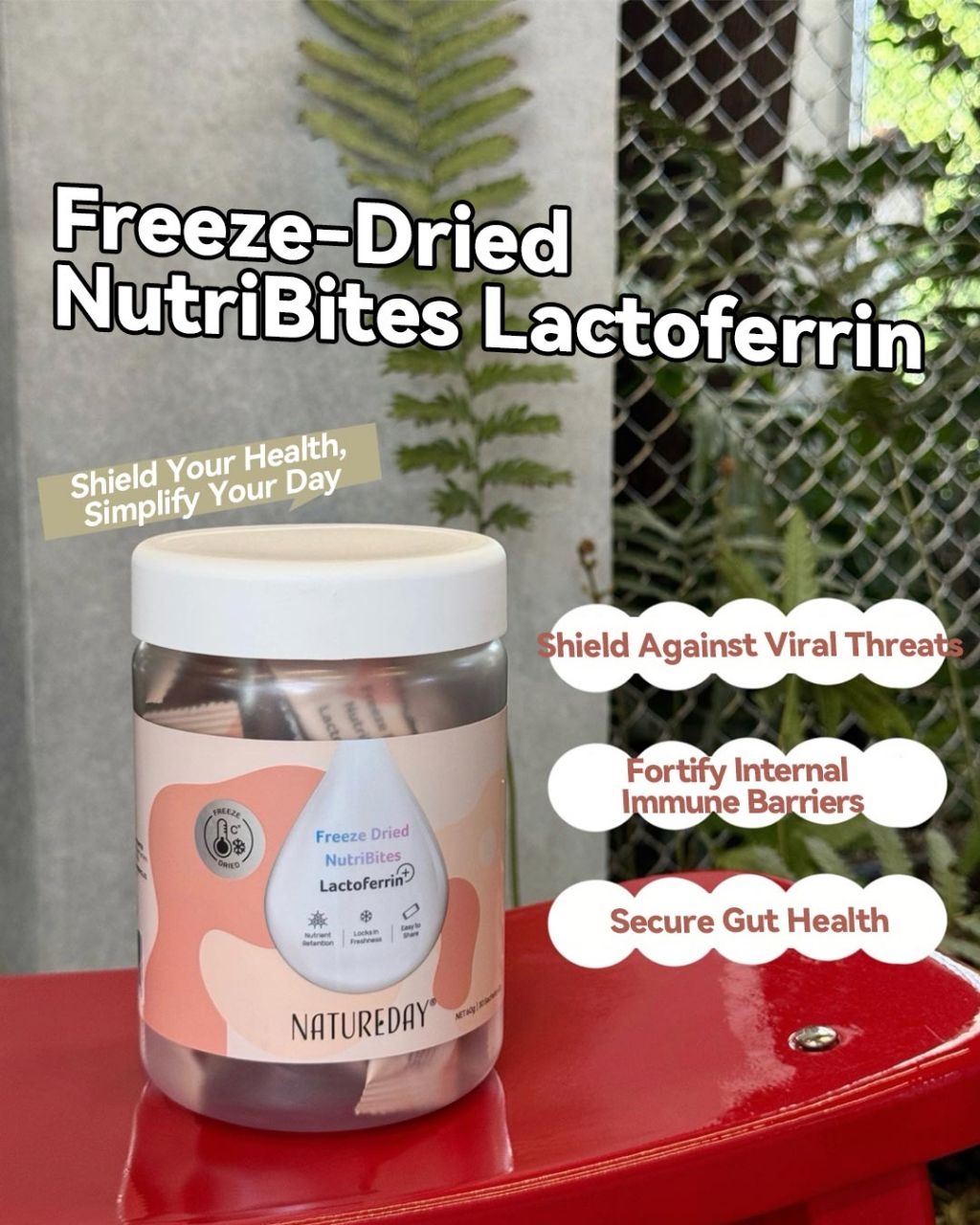 NatureDay NutriBites Fortiq 30pieces/can | Shopee Malaysia