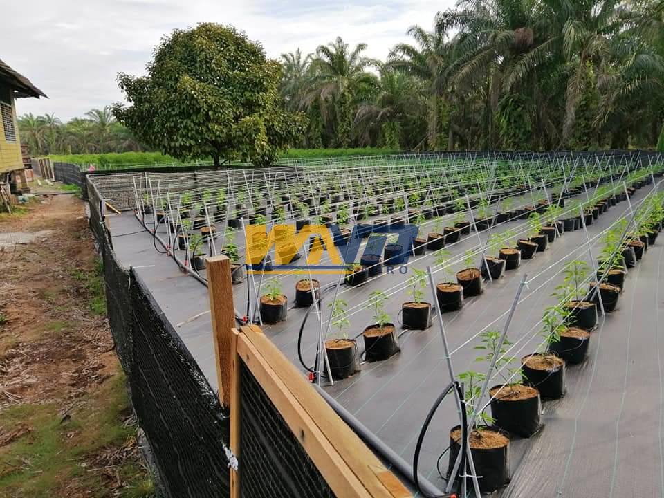 Besi Nako Naco Besi Bulat Besi Steel Pipe Hollow 5 Kaki Tahan Karat ...