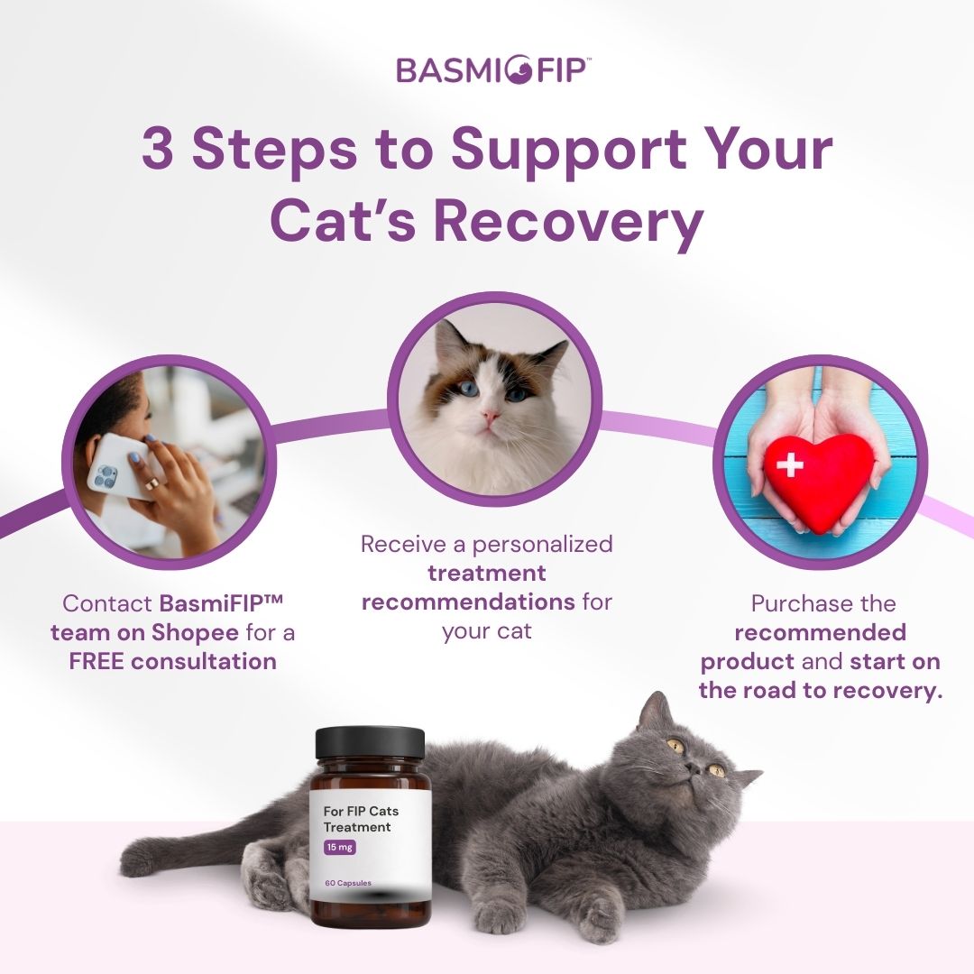 Basmi FIP Original – Ubat FIP Untuk Kucing | Rawatan FIP GS-441524 ...