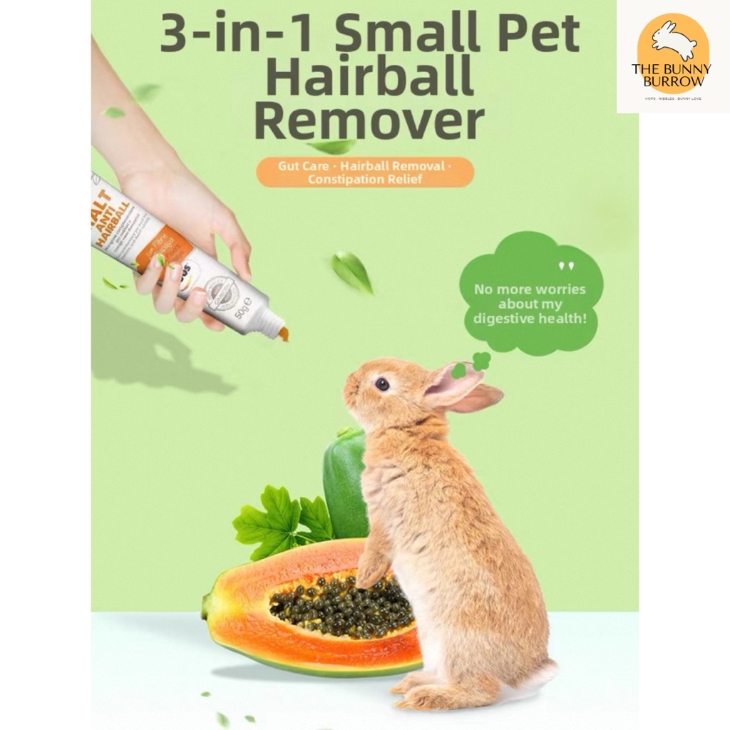 GIMBI 🇩🇪 German Pet Hairball Paste for Rabbits, Hamsters, and ...