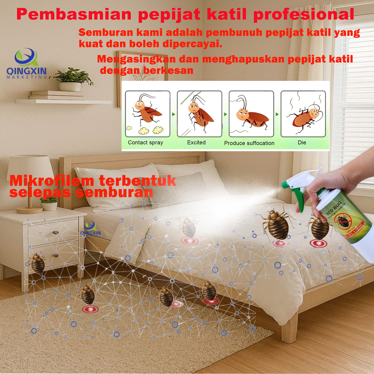QINGXIN Bed Bug & Dust Mite Spray – Kill Hama Tilam Fast | Safe for ...