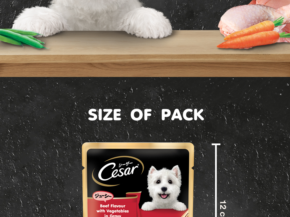 Cesar Crafted Premium Wet Cat Food For Adult Cat - Choose Flavor 60g (3 ...