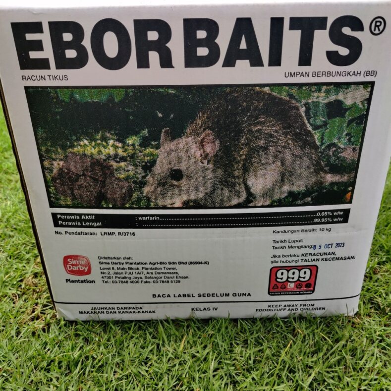 Racun Tikus EBOR BAITS 50G 250g 500g 1KG Rodenticide Hapus Tikus Rat ...