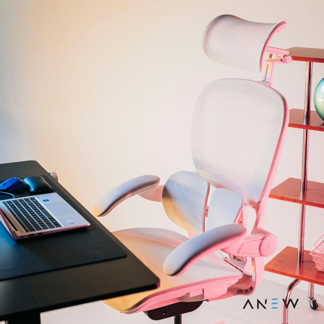 [NEW] ANEW Arise Ergonomic Chair Seat Backrest and Adjustable Lumbar ...