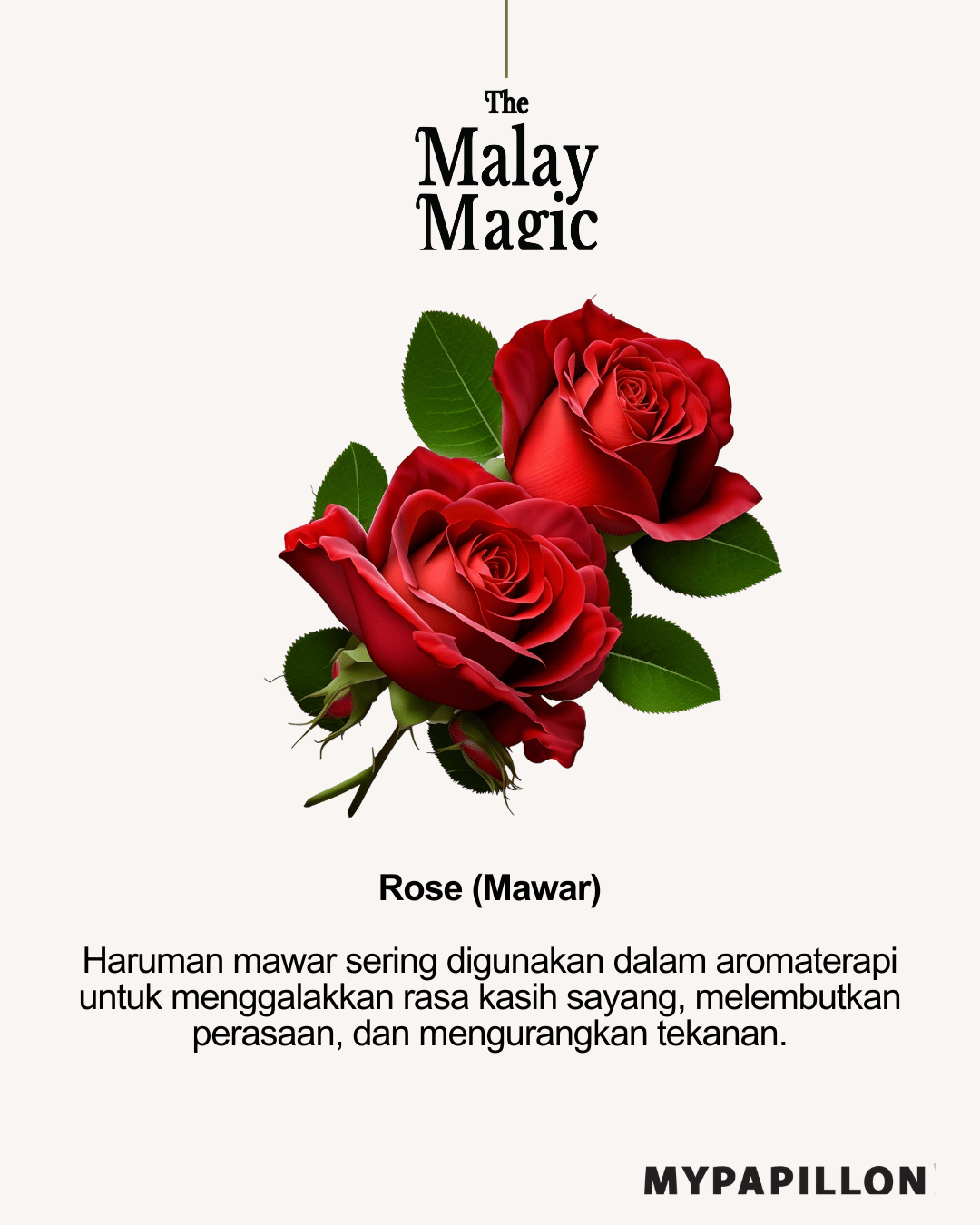 THE MALAY MAGIC - SEMBURAN Mandi Bunga - Aura 7 Bunga Naik Seri Wajah ...