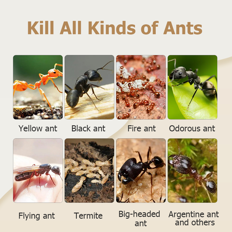 Ant Killer Spray Ubat Semut Titik Semut Racun Ant Repellent Semut ...