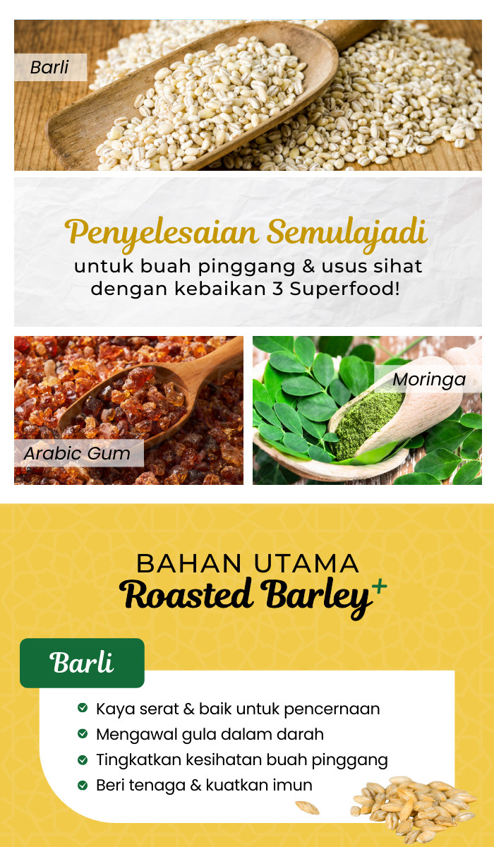 Roasted Barley campuran Arabic Gum dan Daun Moringga baik untuk buah ...