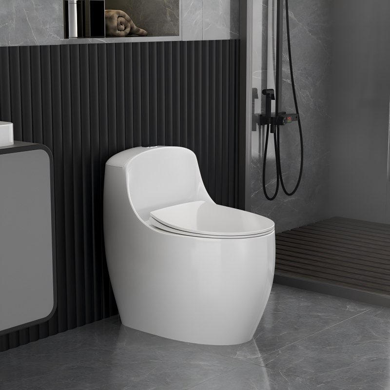 NEXA-66807 Compact One-Piece Toilet with Dual Flush System for Modern ...