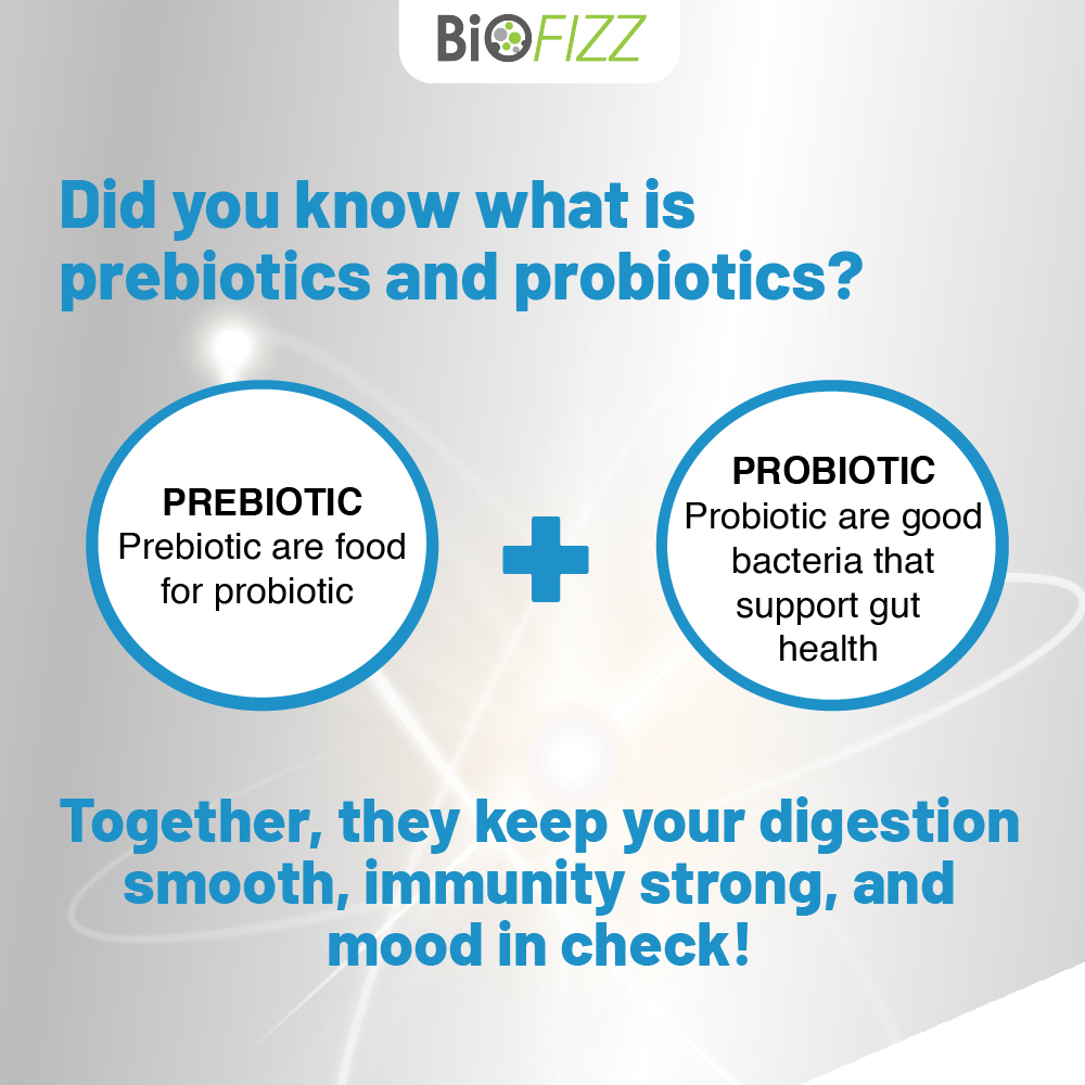 [Digestive Health] BIOFIZZ Halal Probiotic+ (Probiotic + Prebiotic ...