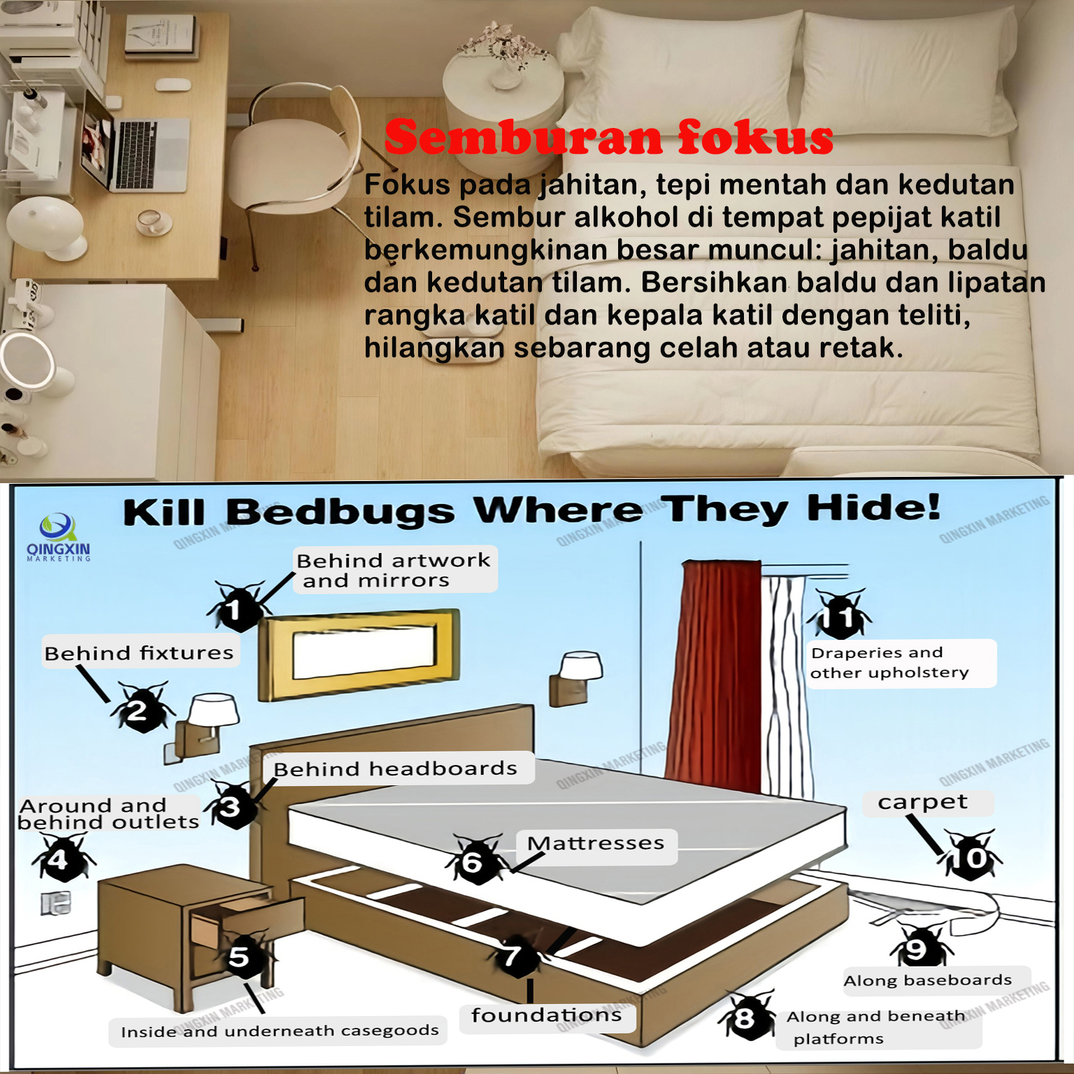 QINGXIN Bed Bug & Dust Mite Spray – Kill Hama Tilam Fast | Safe for ...