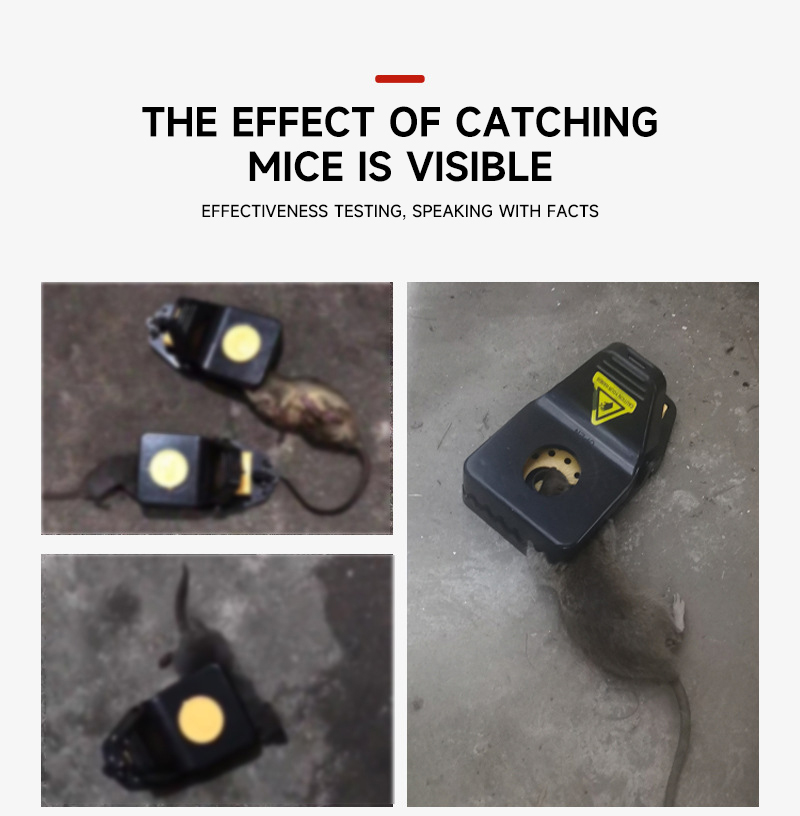 New Plastic Mouse trap Universal Reusable Mouse Trap Reusable Mouse ...