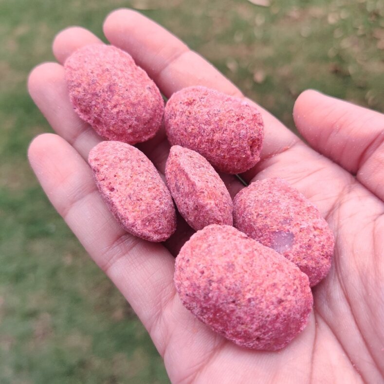 BUTIK G2 FGV racun tikus kuat untuk rumah dapur kebun kedai makan ...