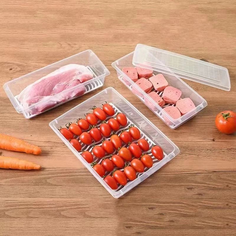 Bekas Simpanan Makanan Segar Dengan Tapak Penapis – Food Storage Box ...