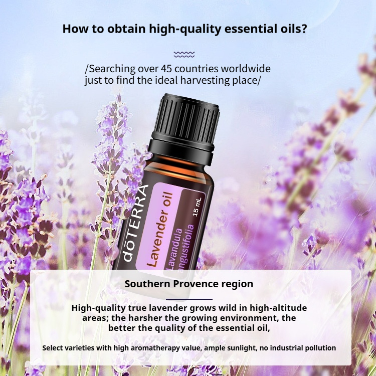 doTERRA Home Essentials Oil Kit | 9 x 15ml Pure Therapeutic Grade Oils ...