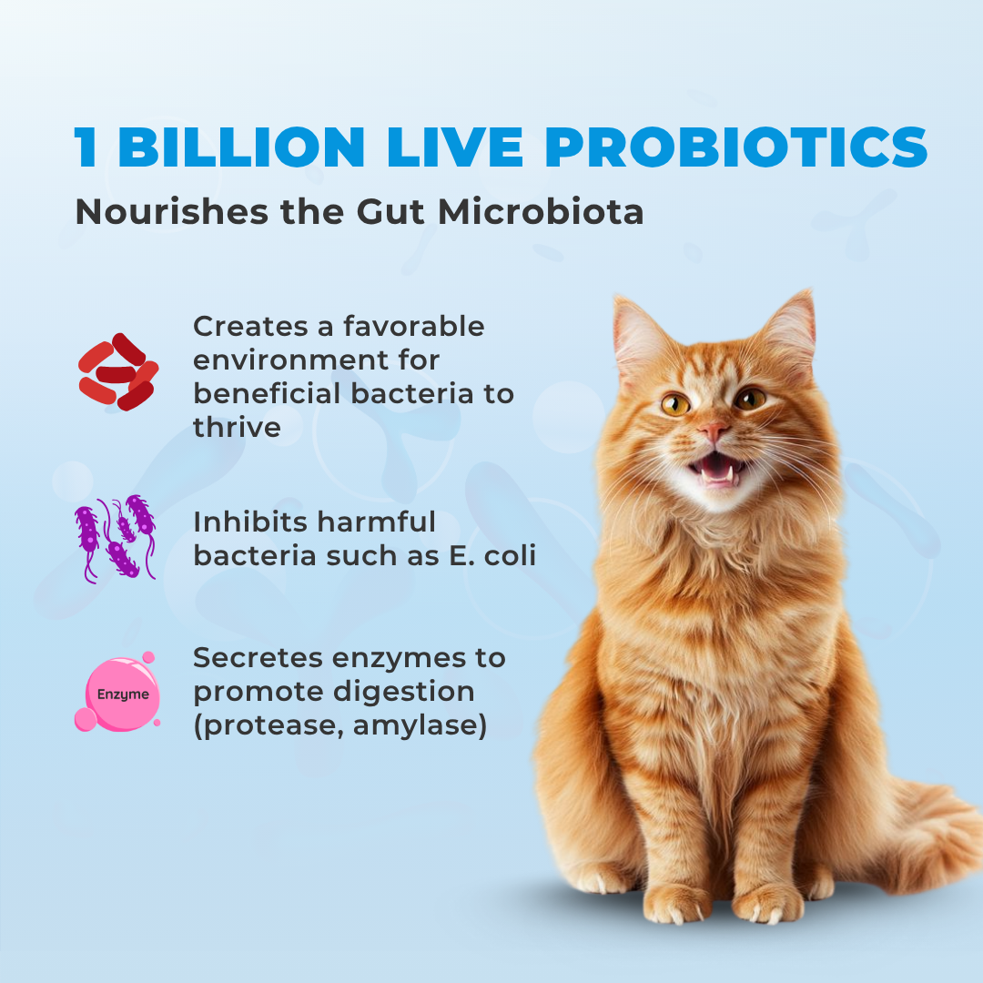 Mr.vet E3 Nano-Protein ™ Dry Cat Food Easy to Digest Fast Absorption ...
