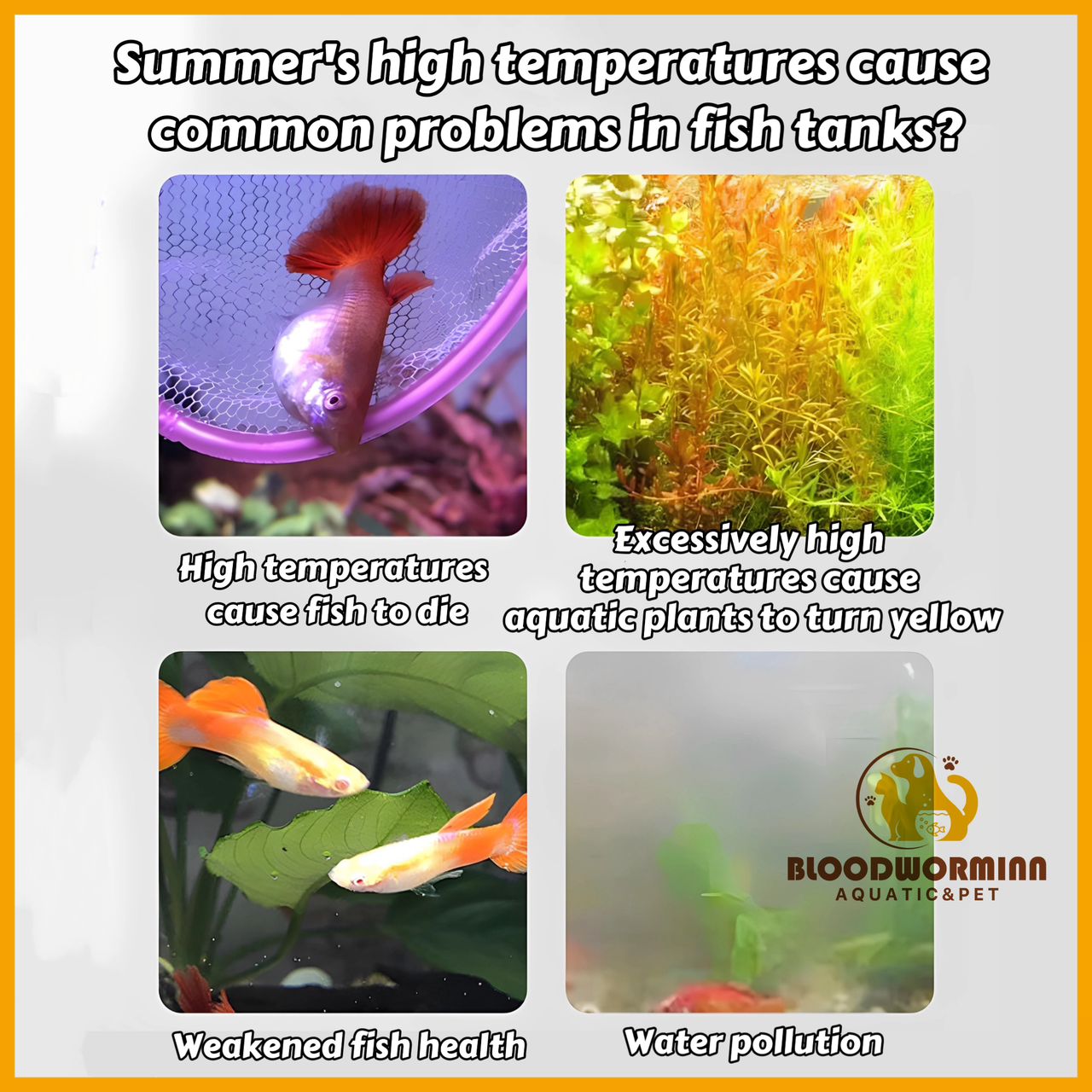 Aquarium Cooling Fans Rapid and Stable Cooling/Aquarium Radiator/Marine ...