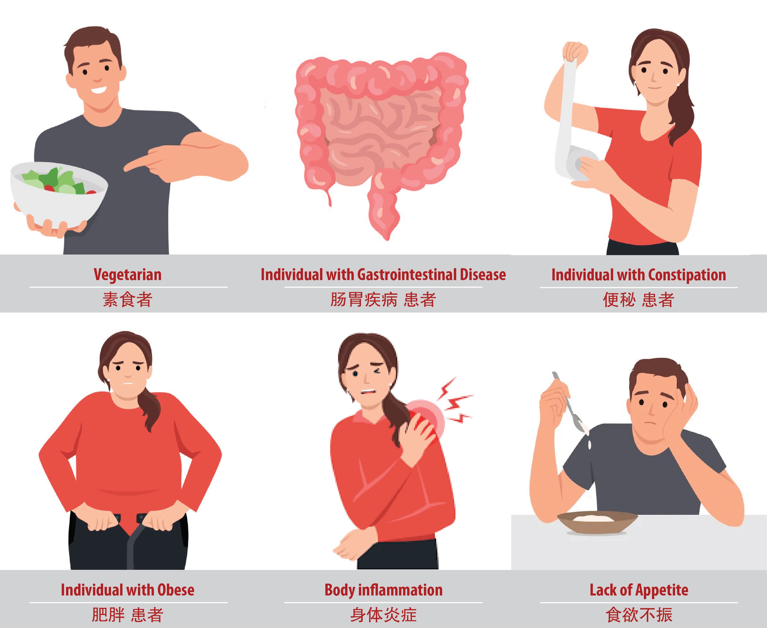 NHF Bio Organix Dietary Supplement | 生命素 膳食纤维 | Bio Organix Serat ...