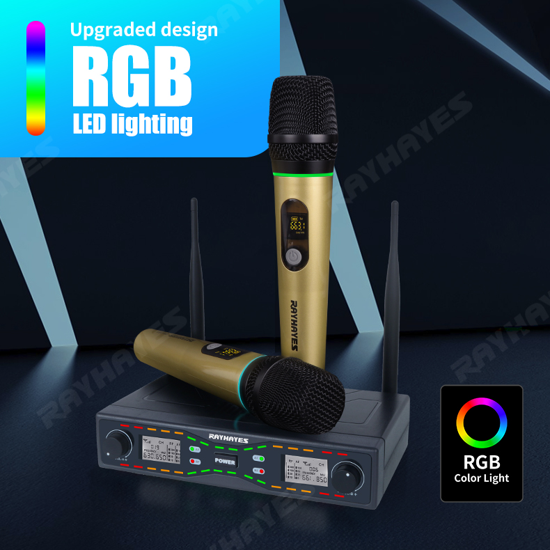 RAYHAYES Microphone Wireless System UHF Rechargeable Microphone LED ...