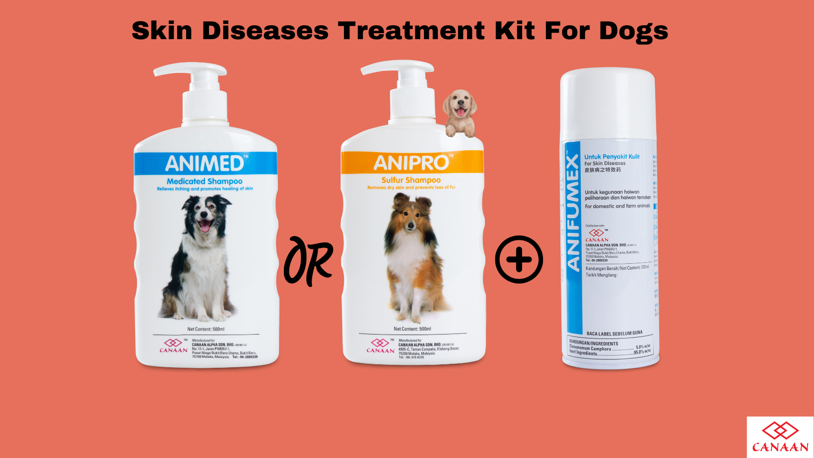 CANAAN Anipro Sulphur Shampoo for Dogs Removes Dry & Flaky Skin Syampu ...
