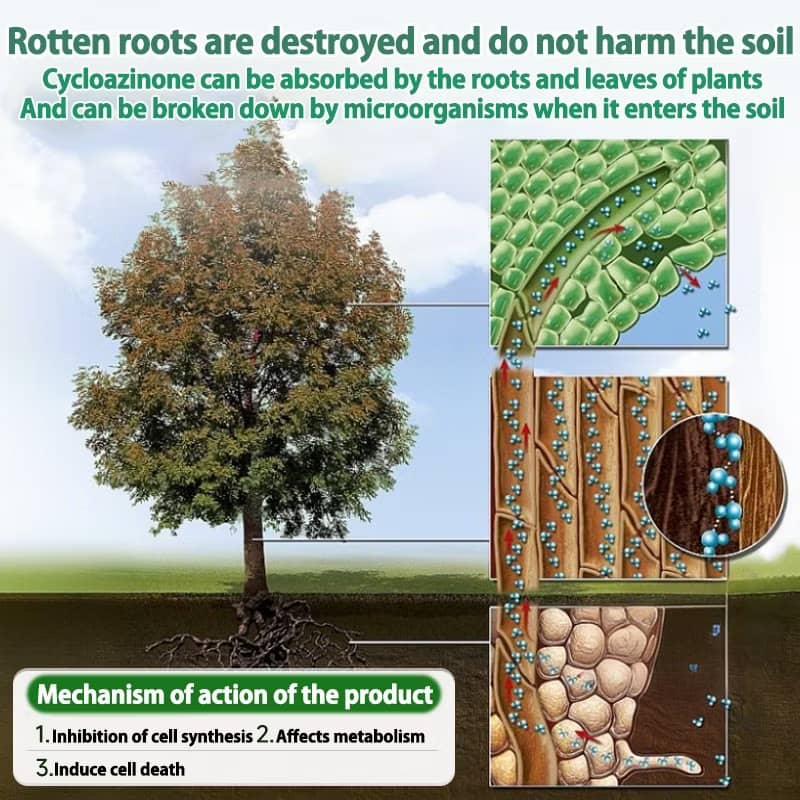 Root Killing Tree Killer 500g | Powerful Hexazinone Weed & Grass Killer ...