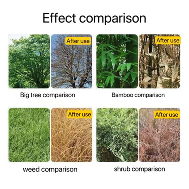 Herbicide to kill tree hexazione which can effectively kill big trees ...