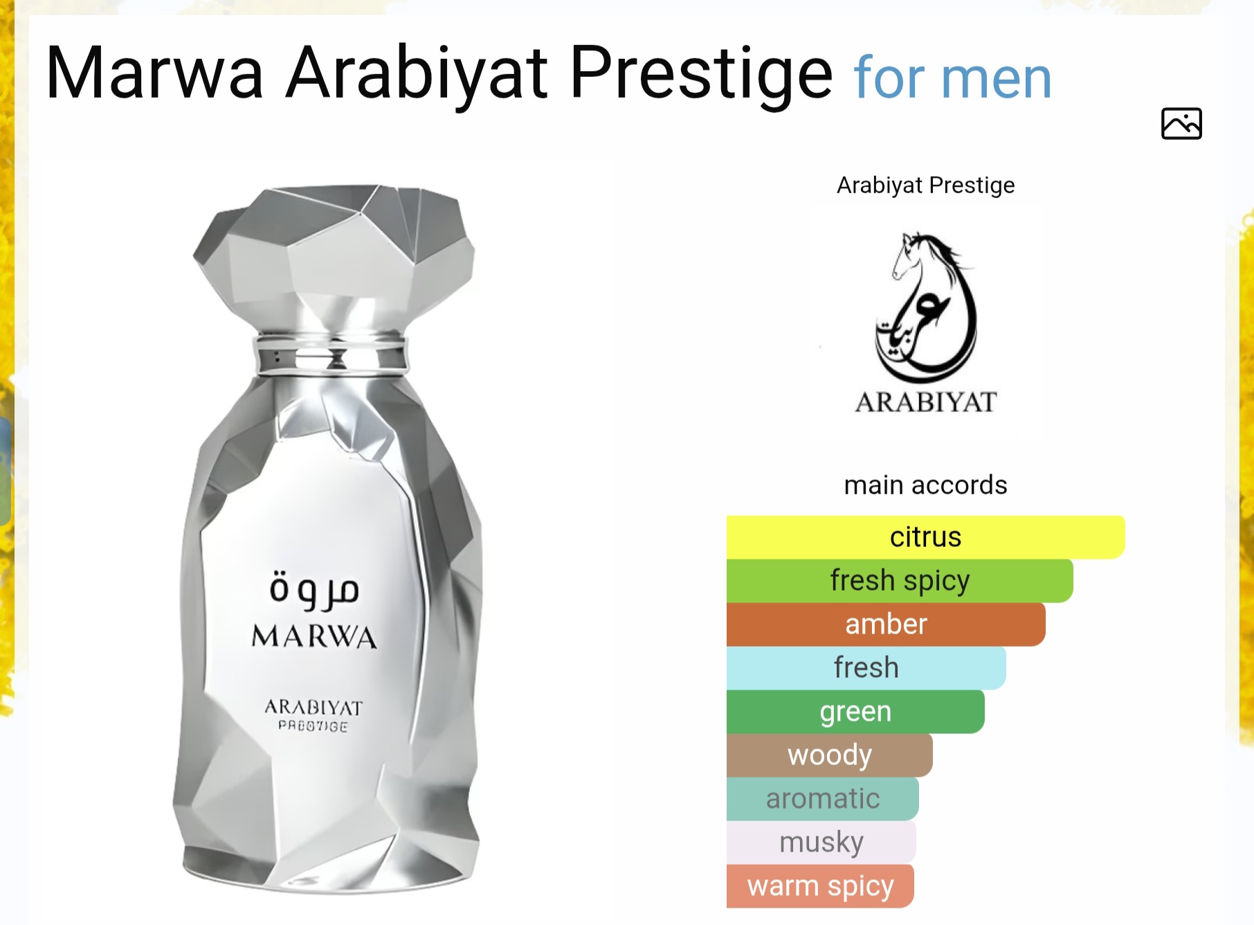 Marwa Arabiyat Prestige for Men perfume original from Dubai EDP ...