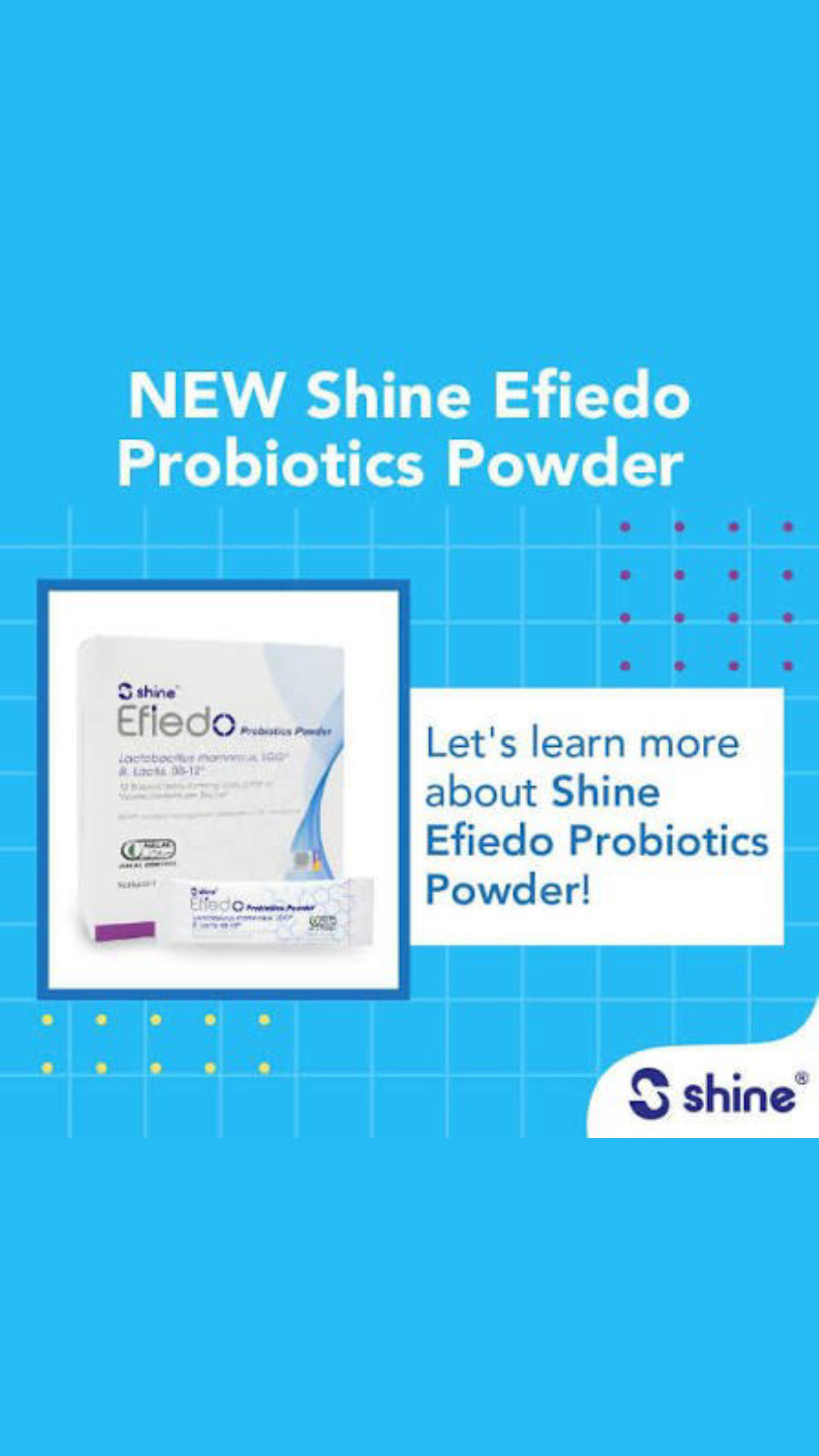 CLEARANCE Shine Efiedo Probiotics Powder 1g sachets 10 Billion CFU LGG ...