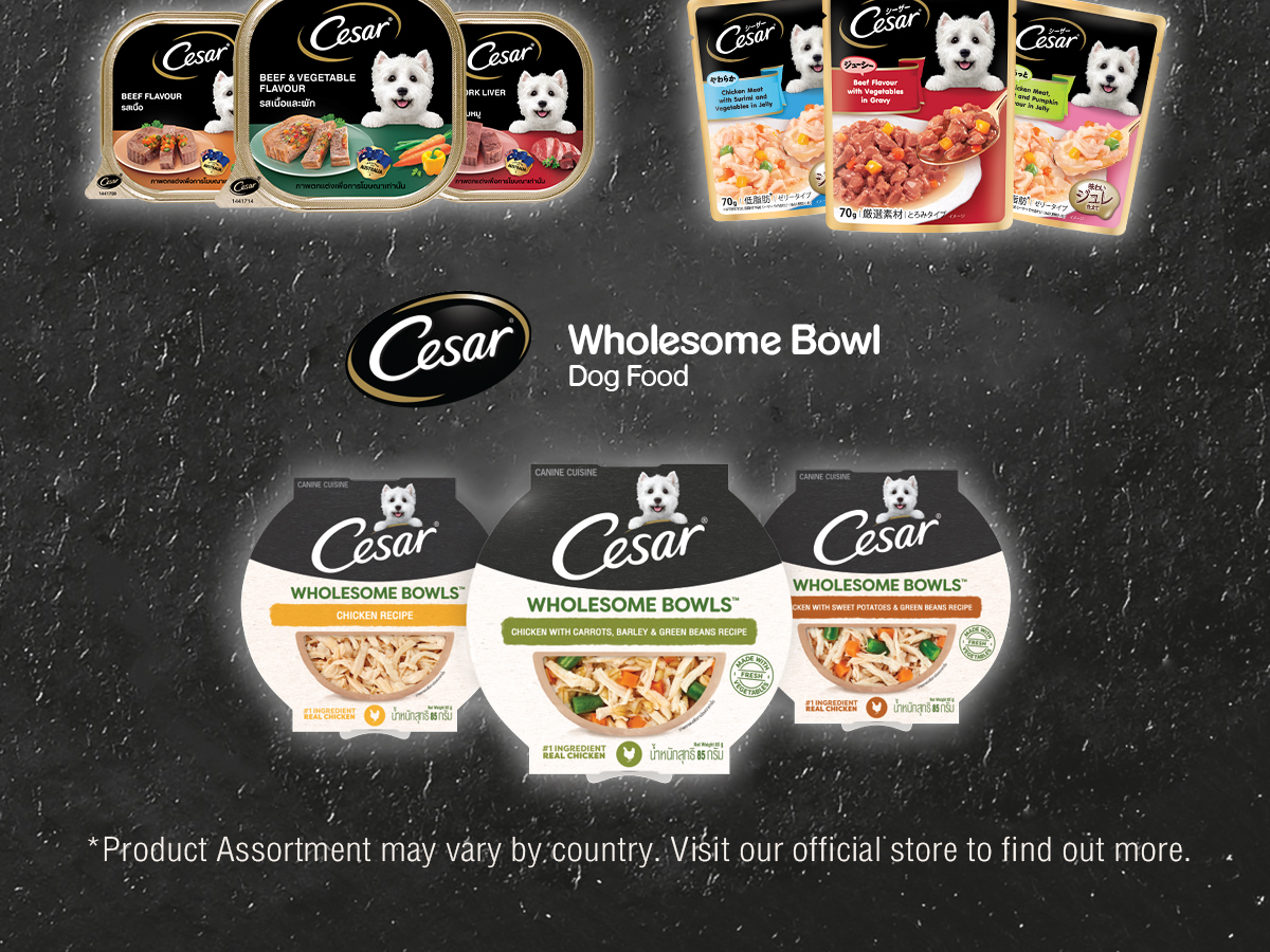 Cesar Crafted Premium Wet Cat Food For Adult Cat - Choose Flavor 60g (3 ...