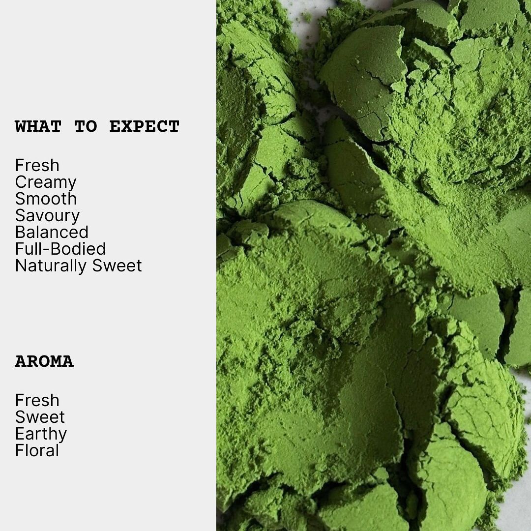 Nado Matcha + Allulose Syrup Combo [with FREE Tote Bag] |Korea ...