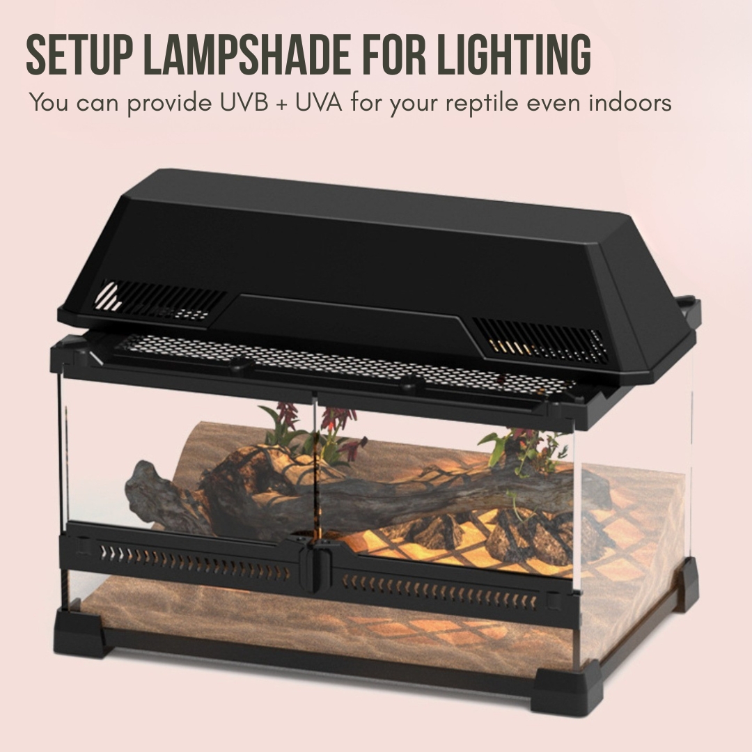 10 Sizes Reptile Glass Terrarium Tempered Glass Reptile Dual Door ...
