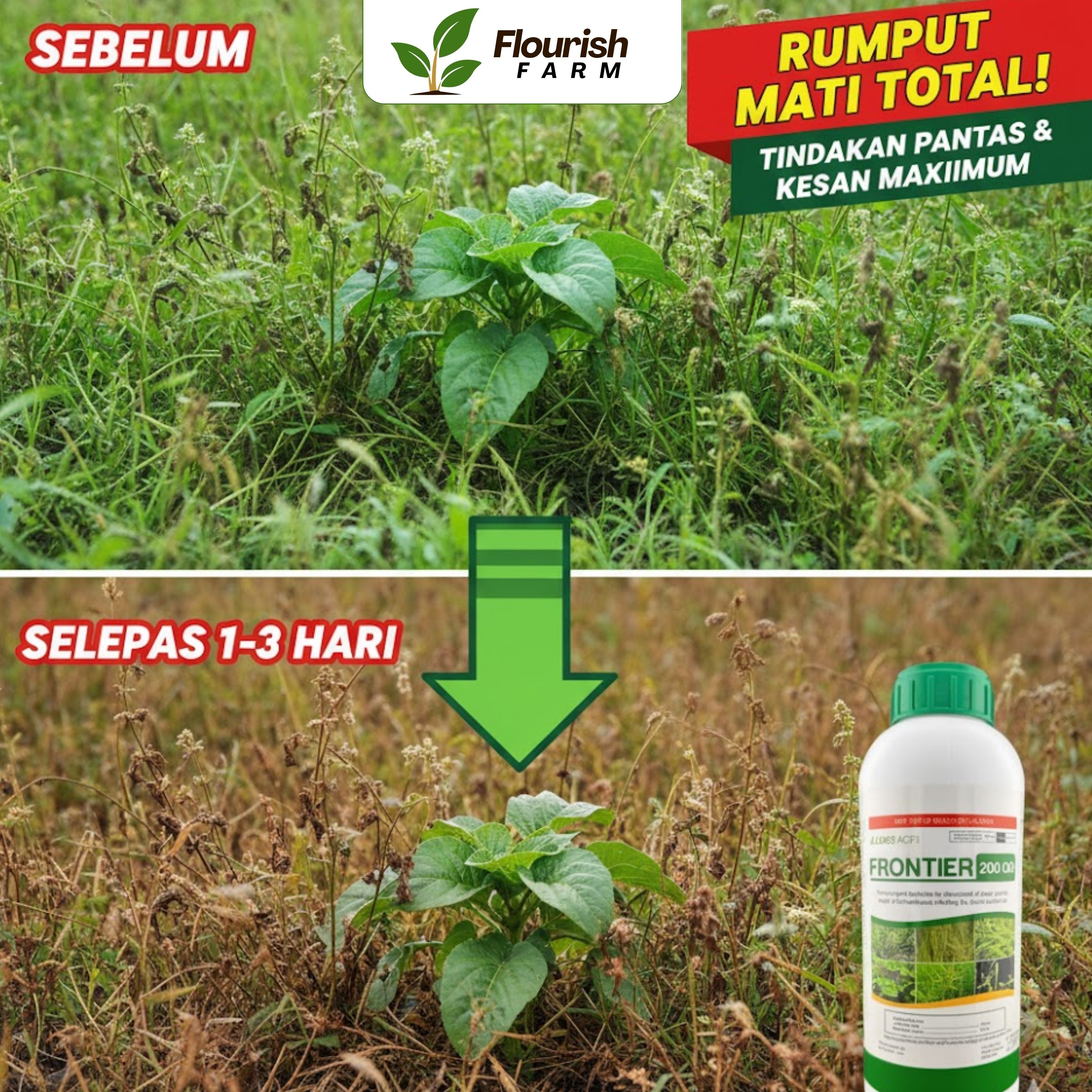 Racun Rumpai Frontier Flourish - Kawalan Rumpai Organik Untuk Sayur dan ...