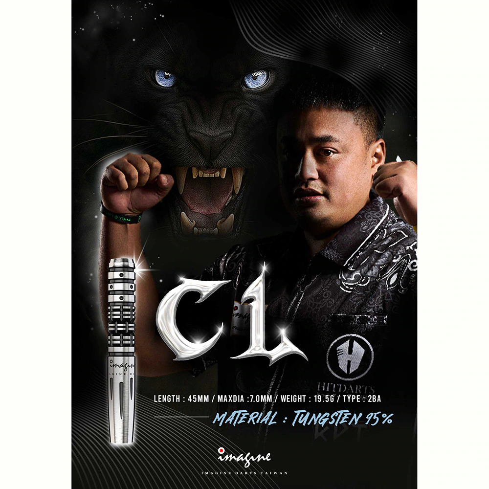 Imagine Darts CL 2BA Lin Chen Lung Player Model (Darts Barrel) | Shopee ...