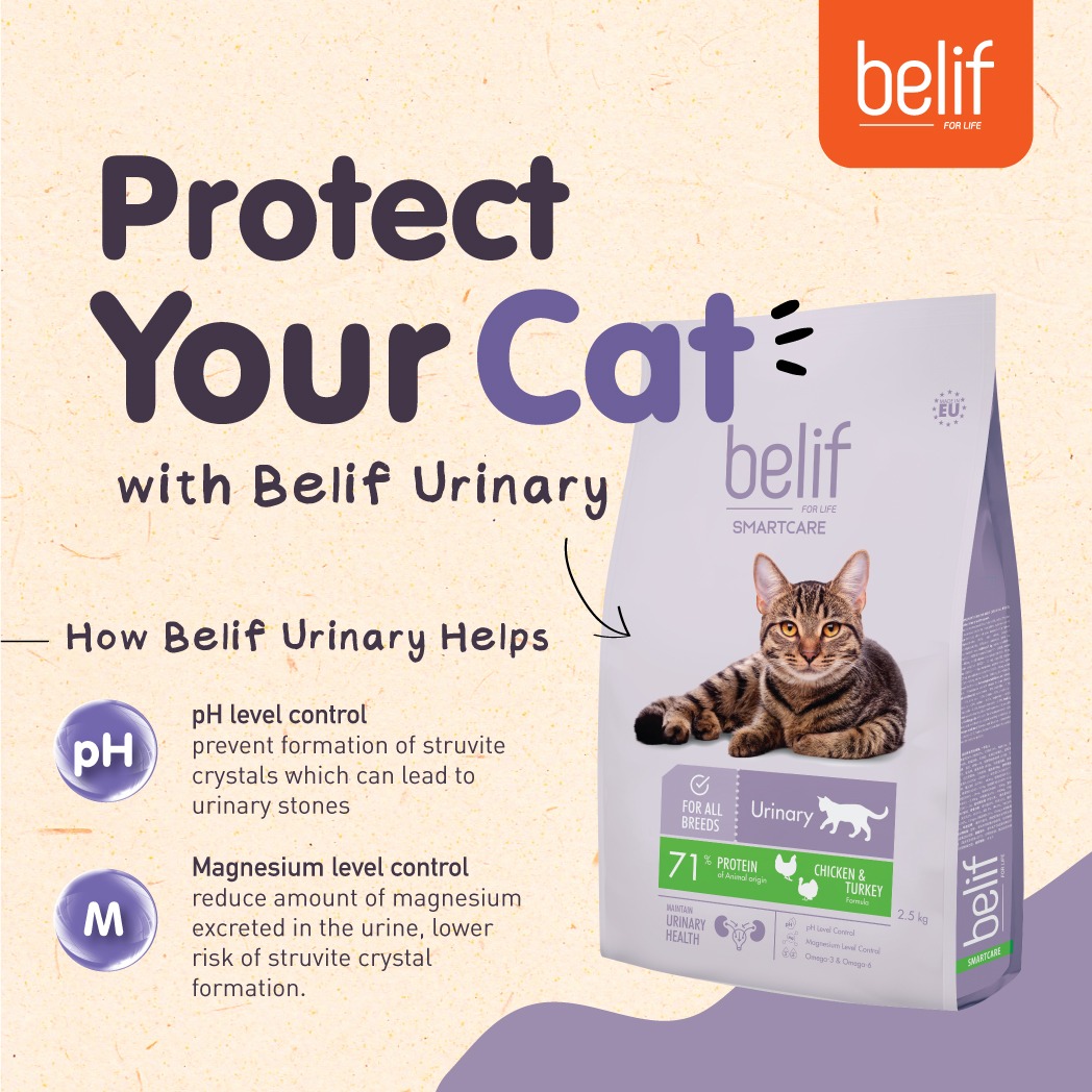 Belif Makanan untuk Kucing Dewasa Kesihatan Urinary Perisa Ayam Belanda ...