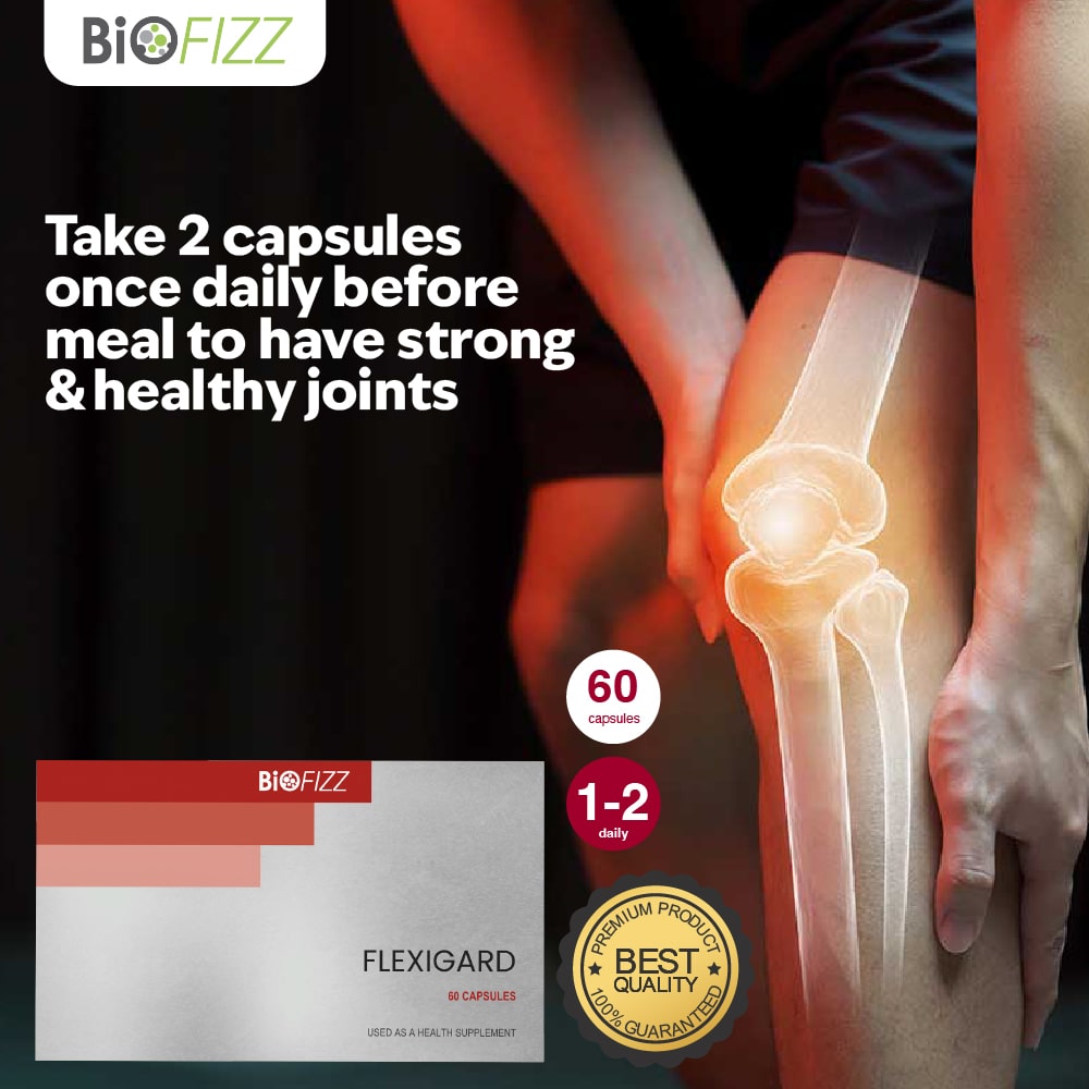 BIOFIZZ Flexigard Capsule 60's Reduce joint pain and inflammation Joint ...